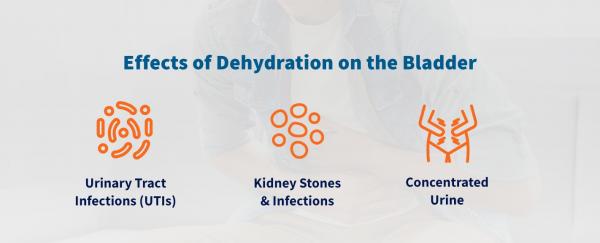 Why Water Is Essential for Bladder Health